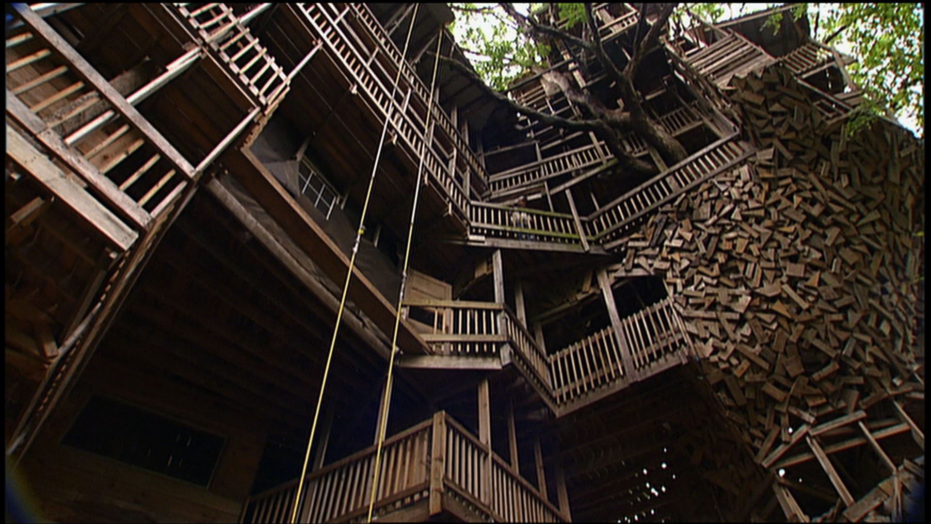Treehouse | Tennessee Crossroads | NPT