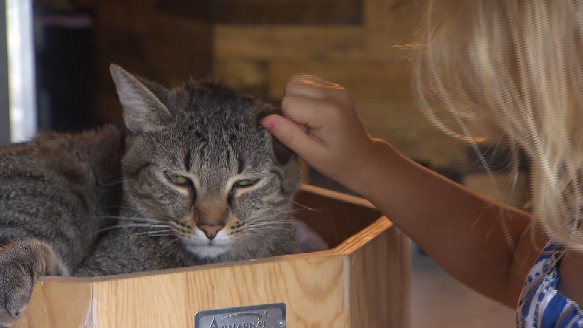 Garland King Museum | Tennessee Crossroads | NPT