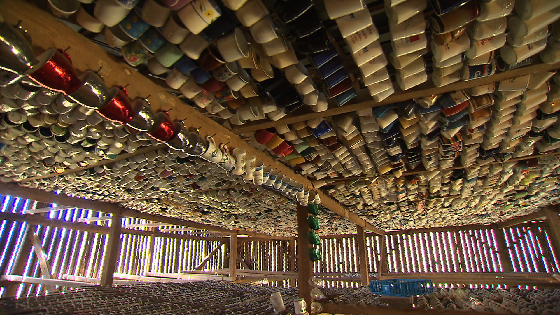 Cup Collector | Tennessee Crossroads | NPT