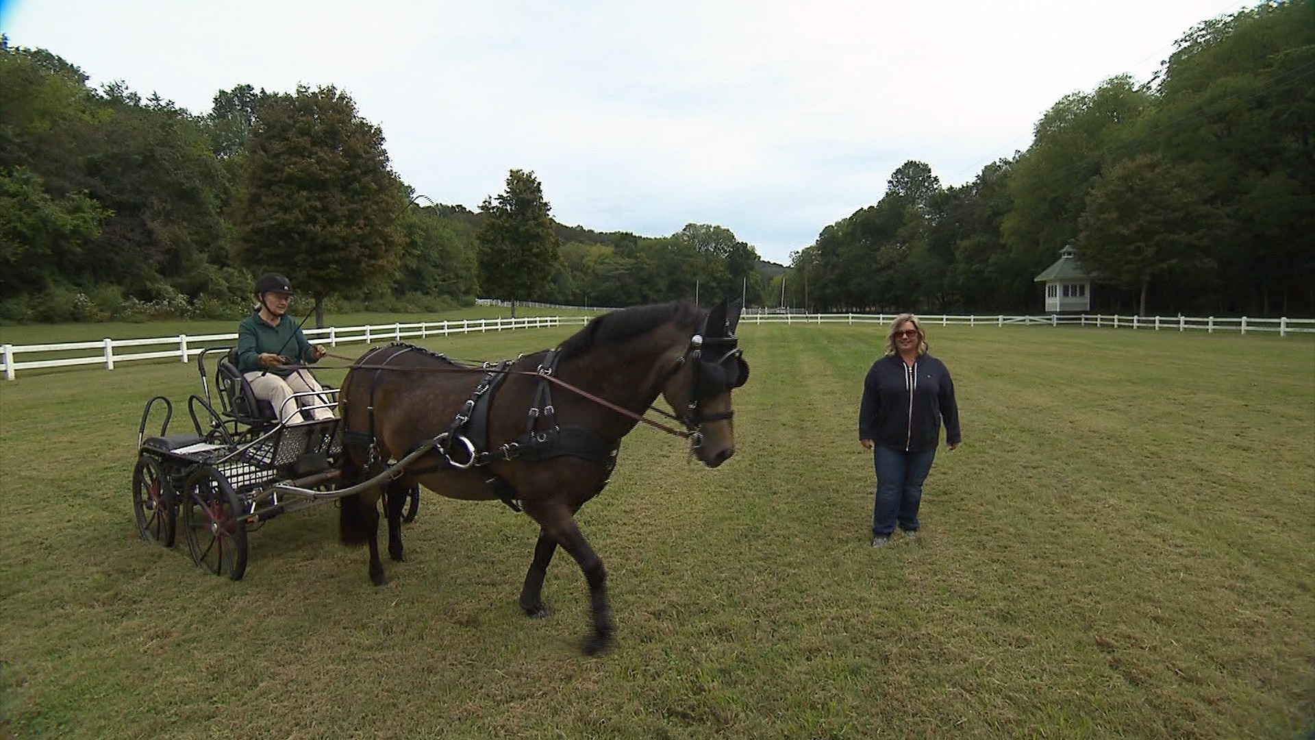 Equestrian Trainer Elizabeth Keathley | Tennessee Crossroads | NPT