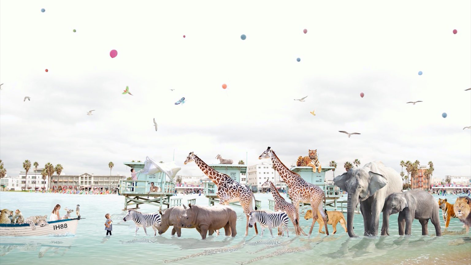 Tennessee Crossroads | NPT