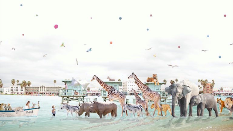 Tennessee Crossroads | NPT