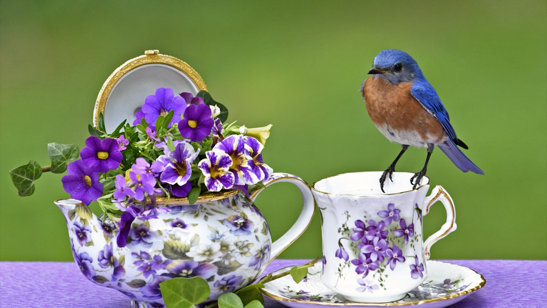 Episode 3609 | Tennessee Crossroads | NPT