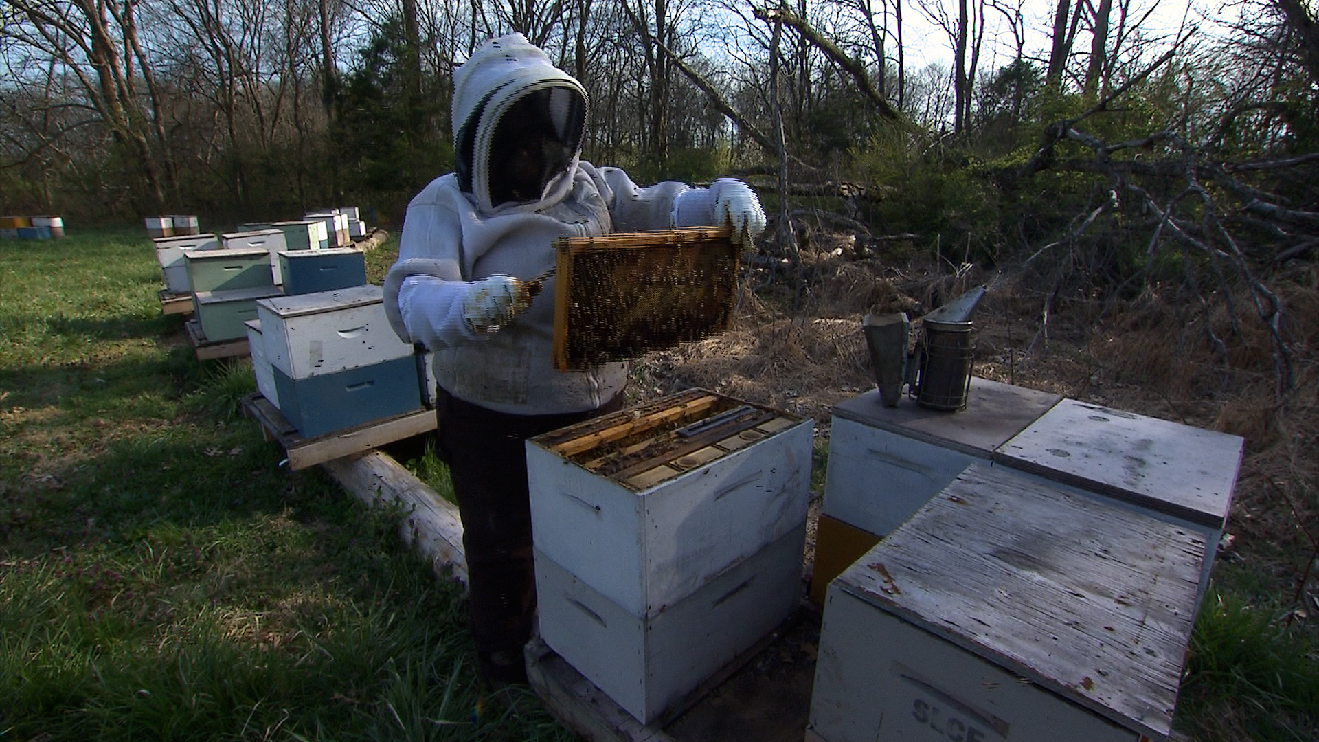 Tennessee Crossroads | NPT